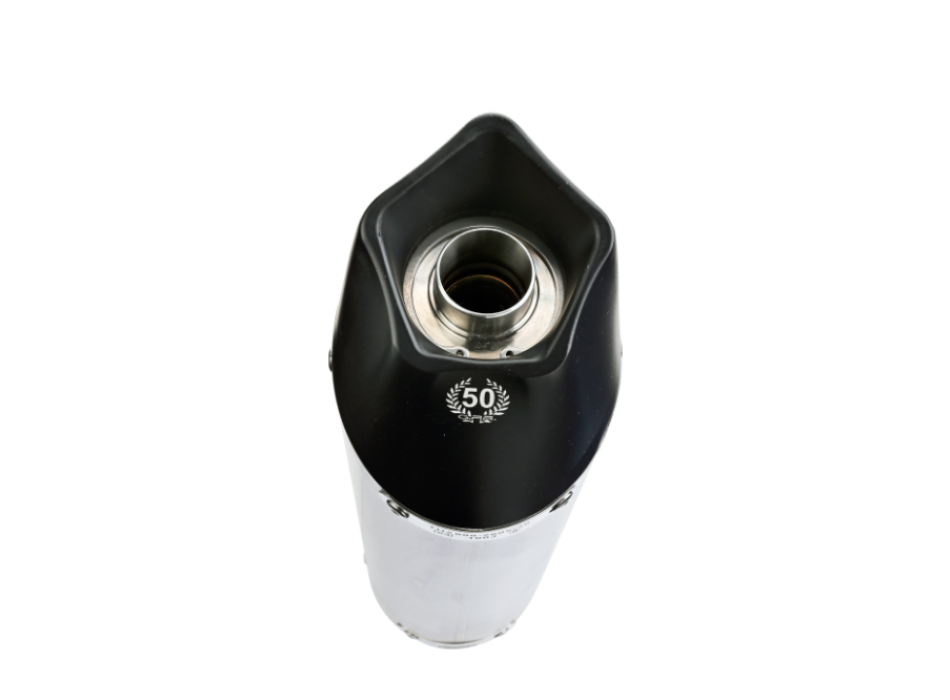 Exhaust compatible with Voge 650DSX 2021-2024, Gpe Ann. titanium, Slip ...